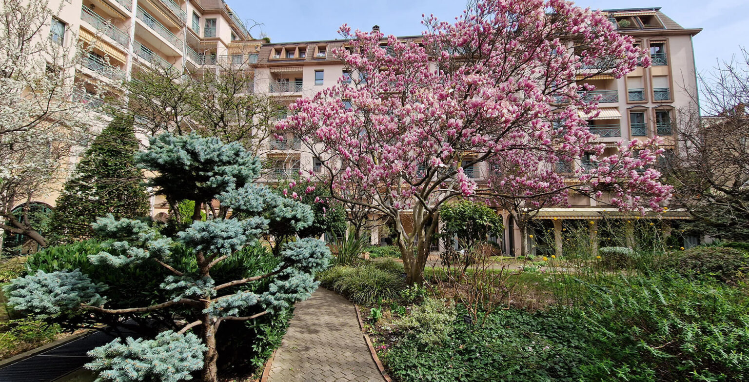 Résidence senior à Lyon : Les Hespérides Croix-Rousse